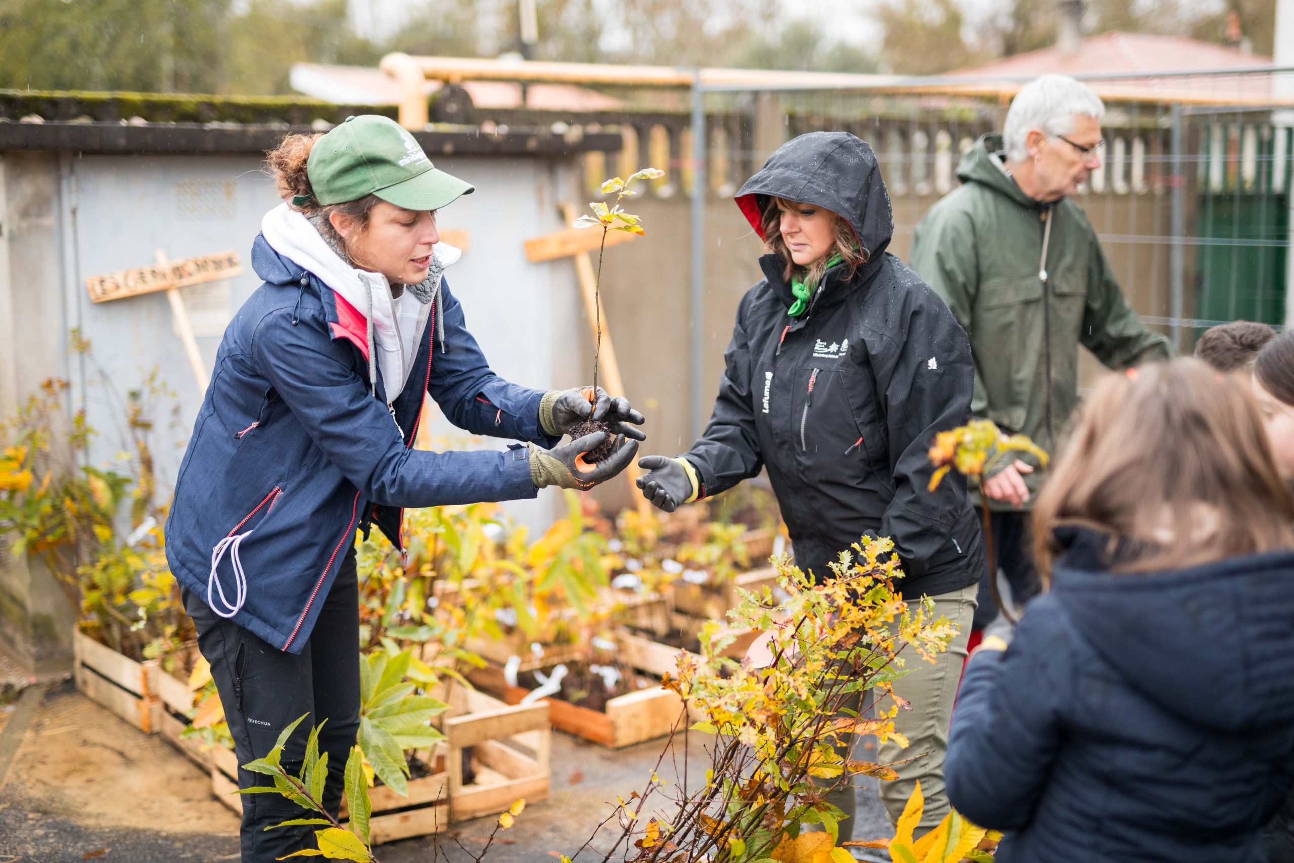 “Mini Big Forest” est double lauréate du budget participatif de la ...